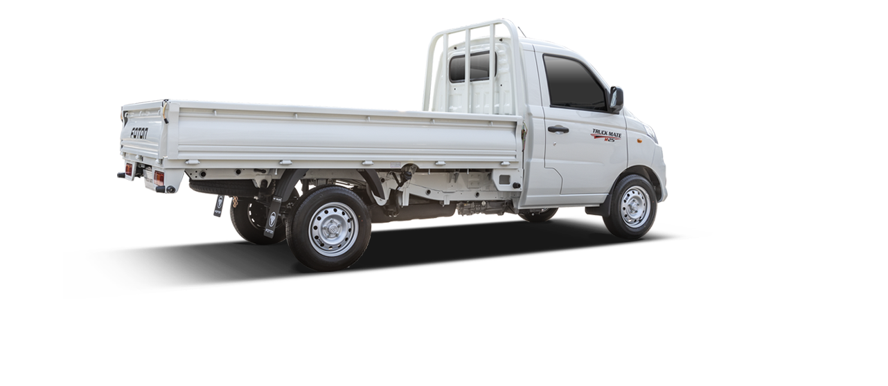 Mini Trucks